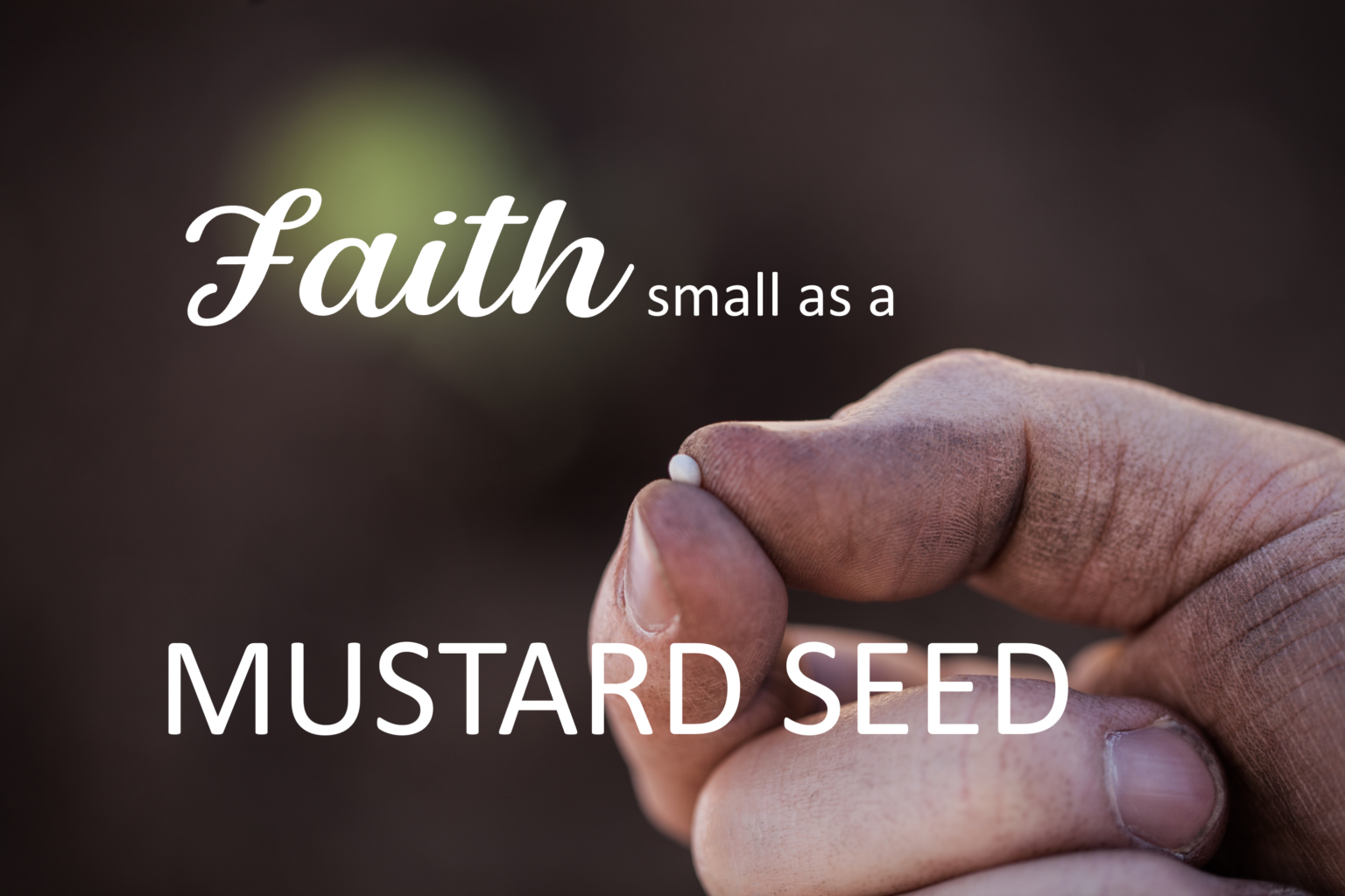 Seventeenth Sunday after Pentecost - Our Saviour Lutheran Church