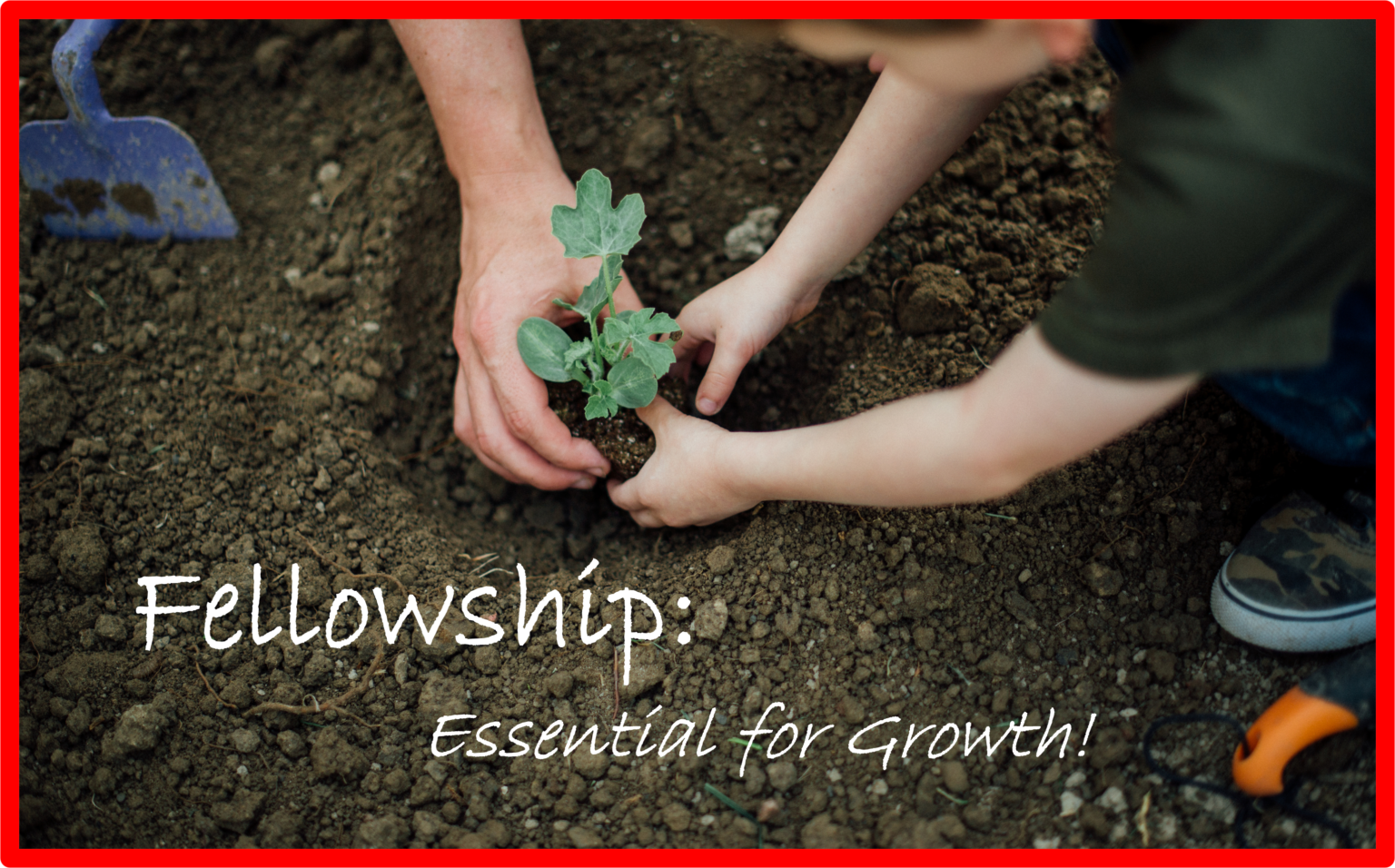 Fellowship Committee Call for Help - Our Saviour Lutheran Church